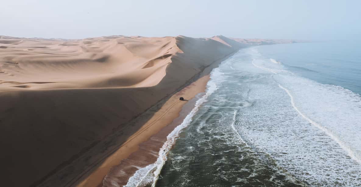 From Walvis Bay: Namibian Coast Day Cruise with Lunch | GetYourGuide