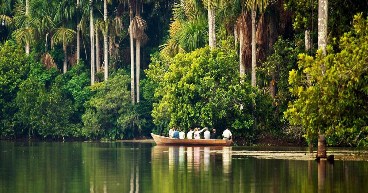 Wild Tambopata 3D: Monkey Island + Sandoval Lake + Bonfire | GetYourGuide