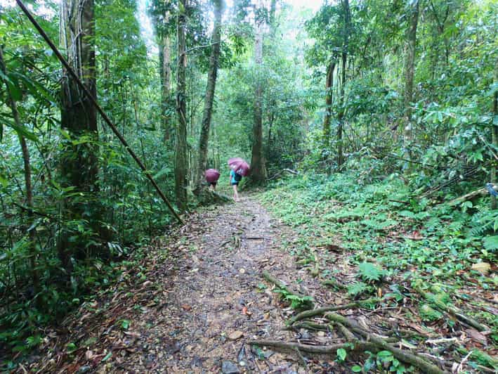 Khao Lak : Promenade en canoë sur la Petite Amazonie et visite de la ...