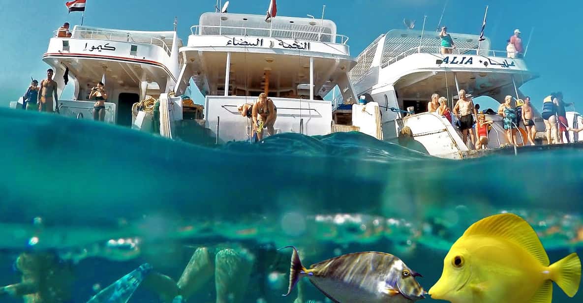 From Hurghada: Snorkeling Adventure at Mahmya Island | GetYourGuide