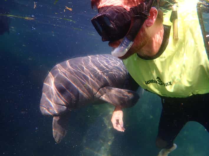 Crystal River: Private Drift Diving Tour in Rainbow River | GetYourGuide