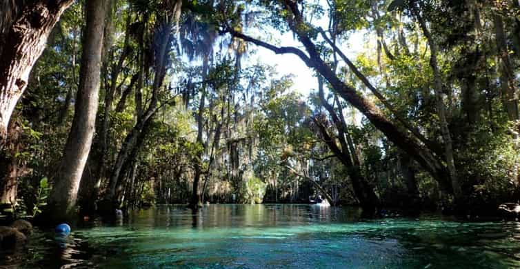 Crystal River: Private River Sightseeing Cruise with a Guide | GetYourGuide