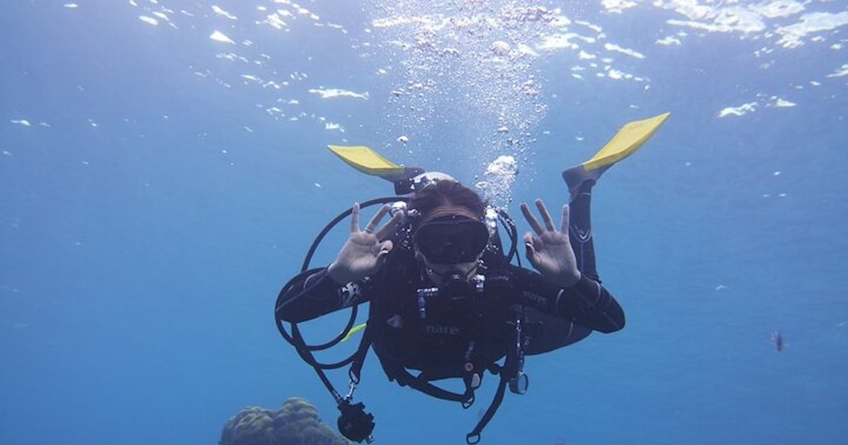 Playa de Ciudad de Panamá, FL: Excursión de buceo Discovery Try ...