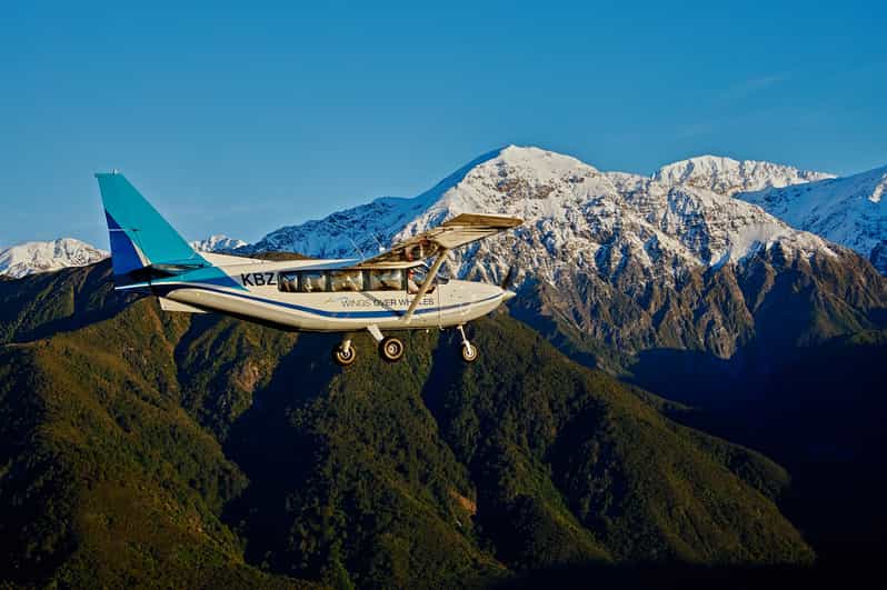 Kaikoura: Extended Flight Whale Watching & Mountain tour | GetYourGuide
