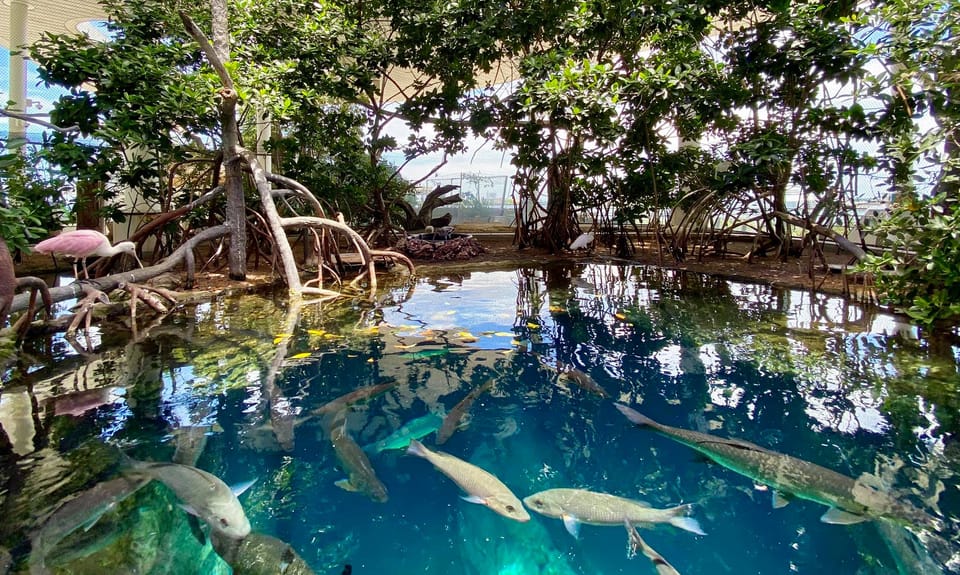 Miami: Frost Museum of Science and Planetarium Entry Ticket | GetYourGuide