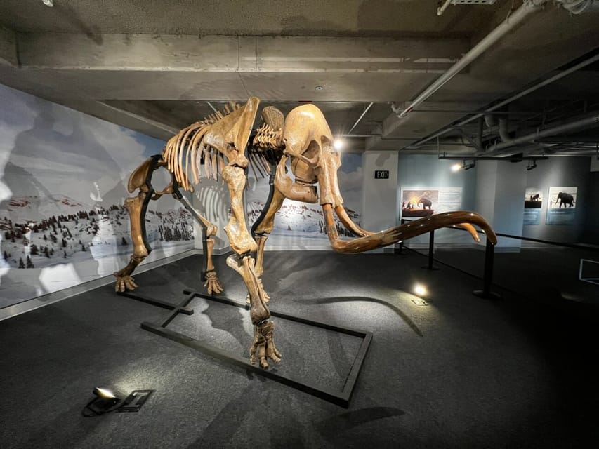 Miami: Frost Museum of Science and Planetarium Entry Ticket | GetYourGuide