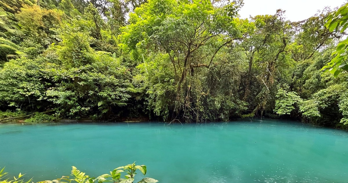 Sloth Tour and Rain Forest hike to see Rio Celeste Waterfall | GetYourGuide