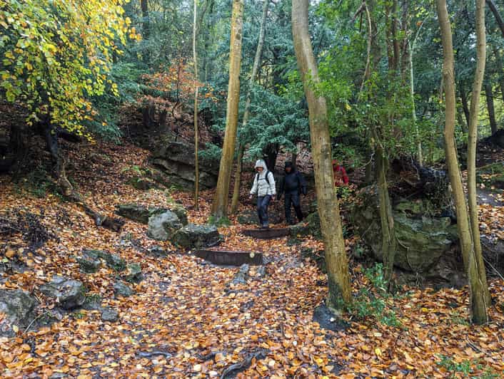 Whitchurch: Guided River Walk in King Arthur's Wye Valley | GetYourGuide