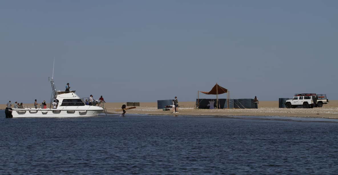 From Walvis Bay: Namibian Coast Day Cruise with Lunch | GetYourGuide