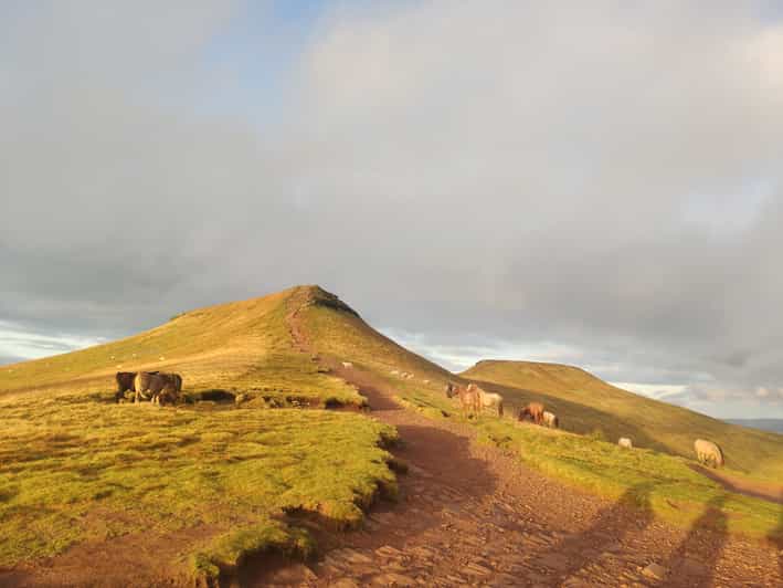 Libanus: Brecon Beacons National Park Guided Sunset Hike | GetYourGuide