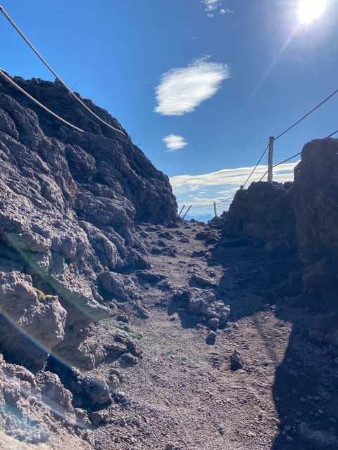 From Sorrento: Skip-the-Line Pompeii and Mount Vesuvius Tour | GetYourGuide