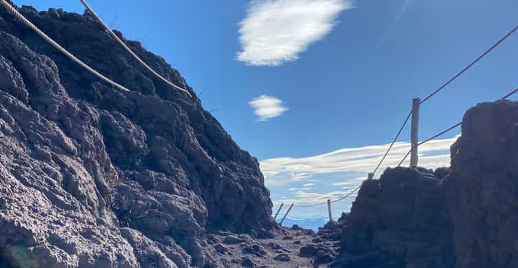 From Sorrento: Skip-the-Line Pompeii and Mount Vesuvius Tour | GetYourGuide