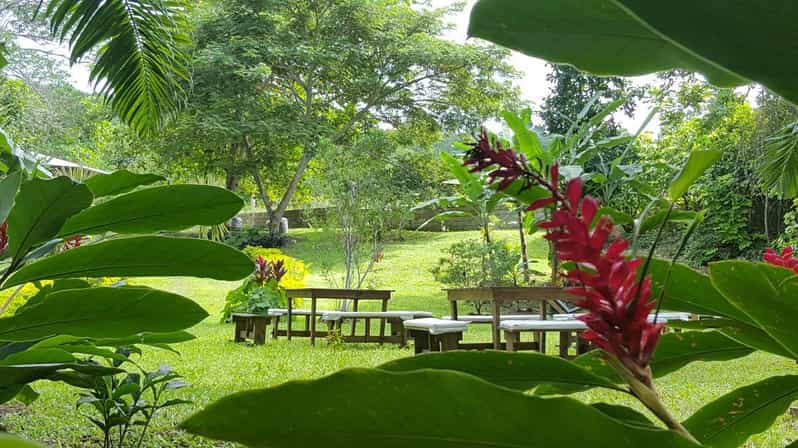 Ocho Rios: Blue Hole, Dunn’s River & Reggae Hill Guided Tour | GetYourGuide