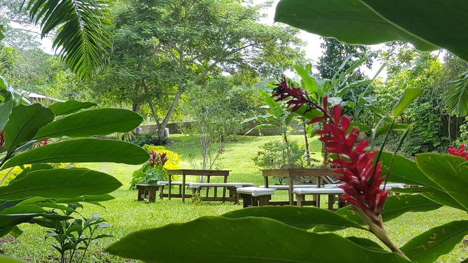 Montego Bay: Excursión a Blue Hole, el río Dunn y Reggae Hill ...