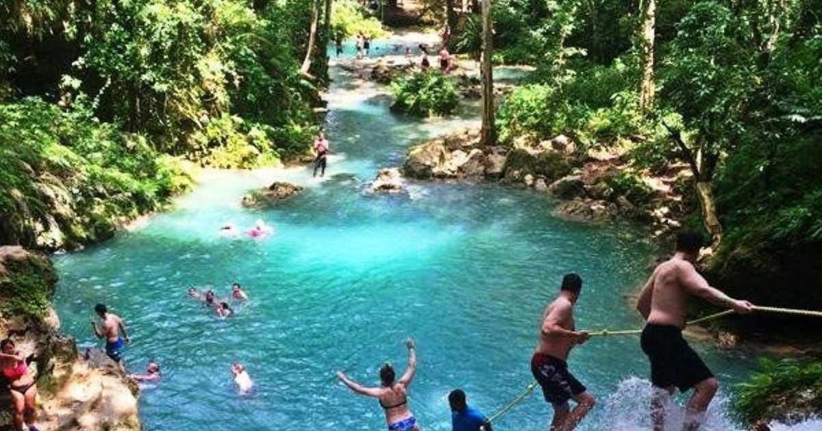 Montego Bay: Blue Hole, Dunn’s River, and Reggae Hill Tour | GetYourGuide
