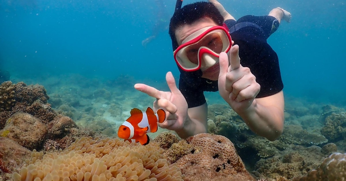 Samaesarn : Finding Nemo Snorkeling Tour Privat speedbåd | GetYourGuide
