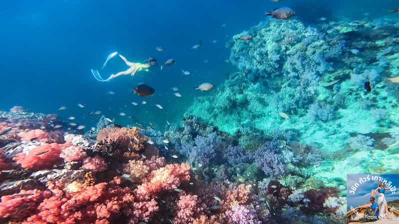 Koh Lipe: Lipe: Longtail Boat Snorkeling Trip με γεύμα | GetYourGuide