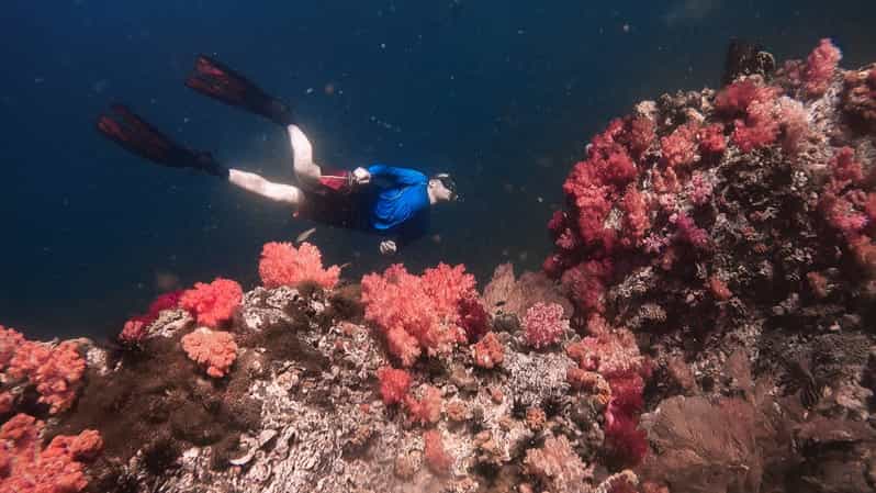 Koh Lipe: Snorkeling łodzią Longtail z lunchem | GetYourGuide