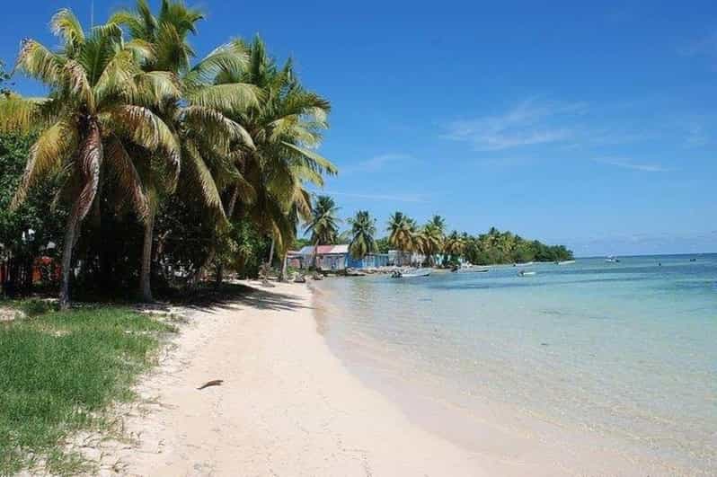 Roseau: Snorkeling and Beach Day with Lunch | GetYourGuide