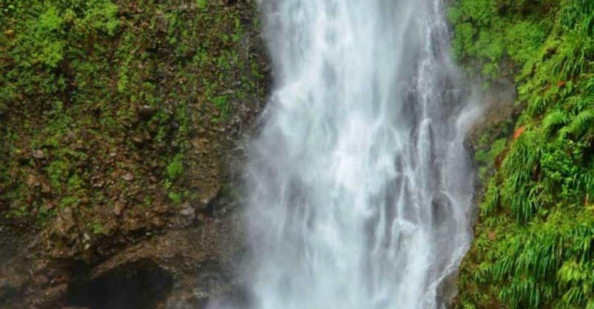Roseau: Guided Day Trip to Popular Waterfalls | GetYourGuide