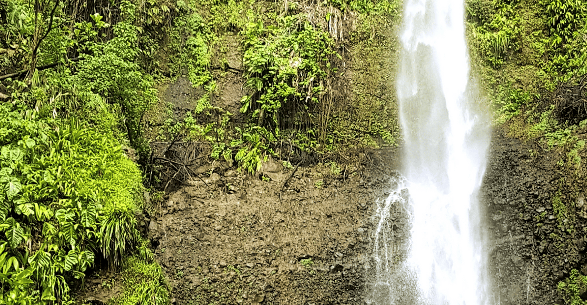 Roseau, Guided Day Trip to Popular Waterfalls | Guided Tour in Roseau