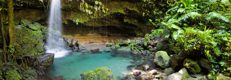 Roseau: Guided Day Trip to Popular Waterfalls | GetYourGuide