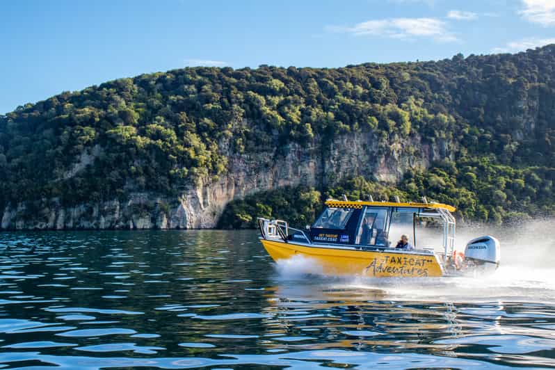 Taupo: Lake Taupo Western Bays Catamaran Tour with Bush Walk | GetYourGuide