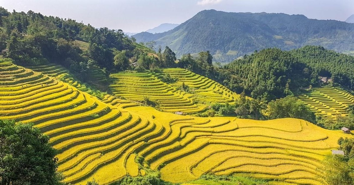 Hoàn Kiếm: 3-tägige Sapa Trek Abenteuer Tour mit lokalem Guide ...