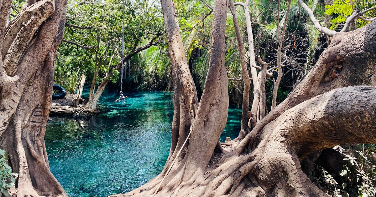 From Moshi: Private Full-Day Tour to Kikuletwa Hot Springs | GetYourGuide
