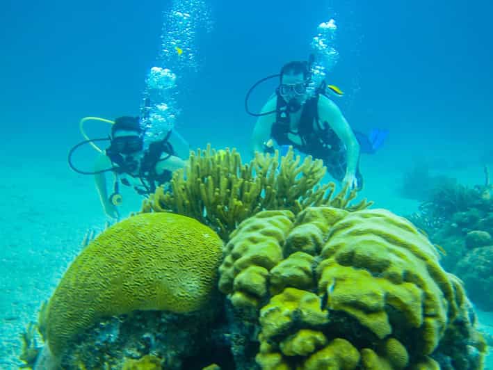 San Pedro: Belize Barrier Reef 2-Tank Scuba Diving Trip | GetYourGuide