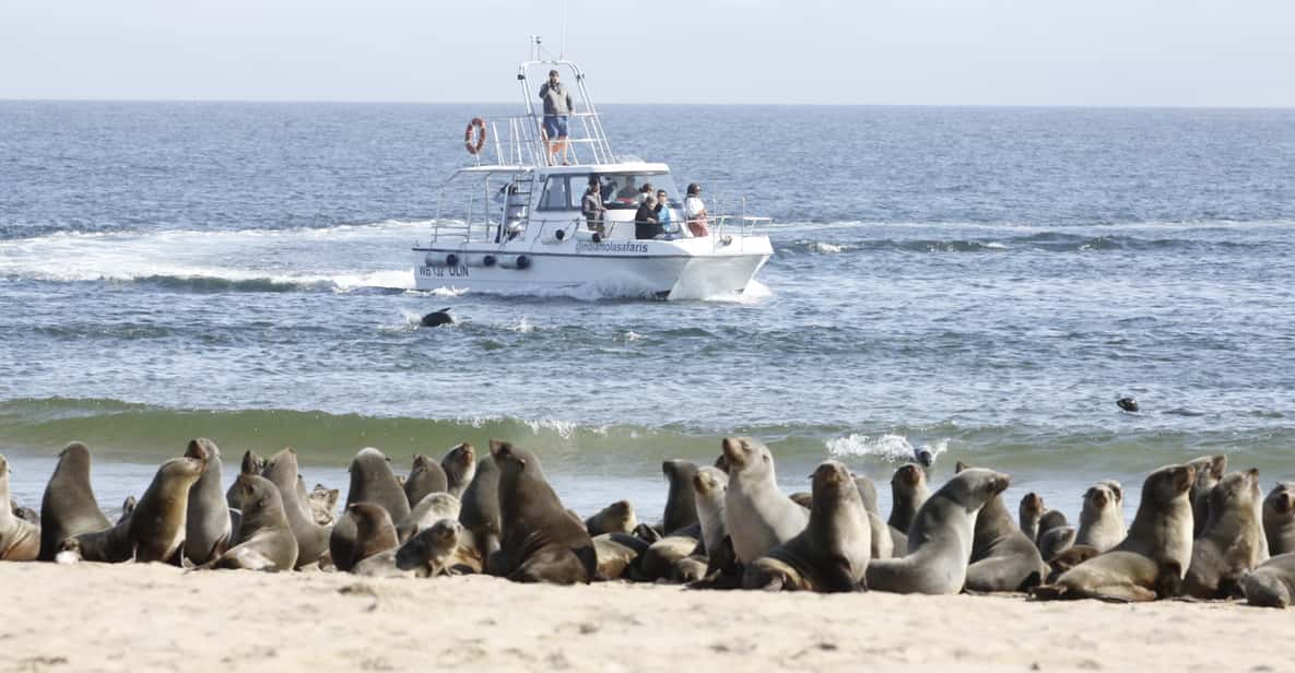 Walvis Bay: Crucero por la Costa de Namibia con Delfines y Almuerzo ...