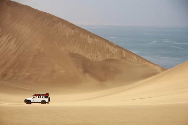 Kayaking Combo with Beach Braai | GetYourGuide