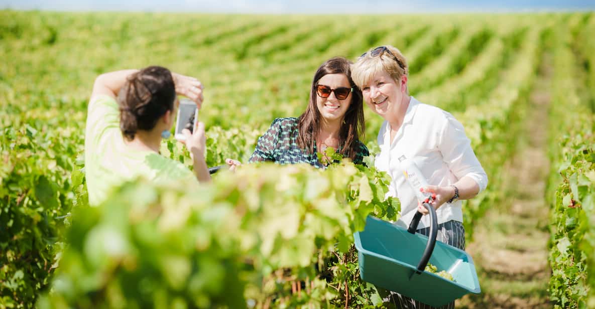 Full Day Pommery Small Group Tour | GetYourGuide