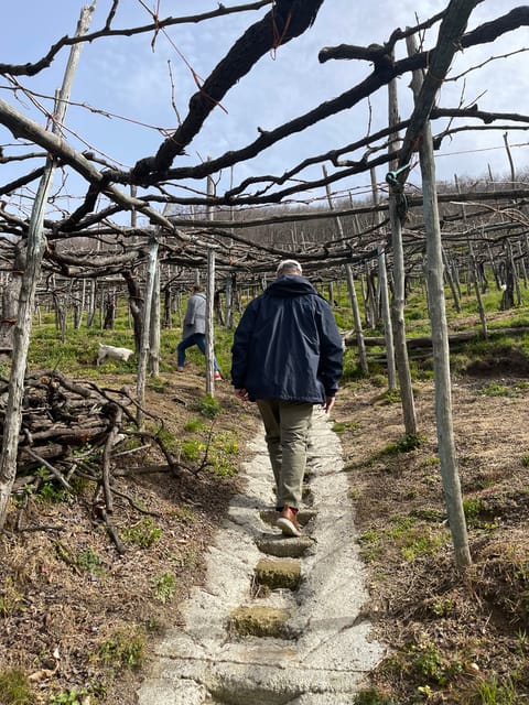 Amalfi Coast: Bomerano to Nocelle – The Path of the Gods | GetYourGuide