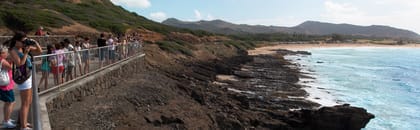 Honolulu: Oahu Island Highlights Tour with Multiple Stops | GetYourGuide