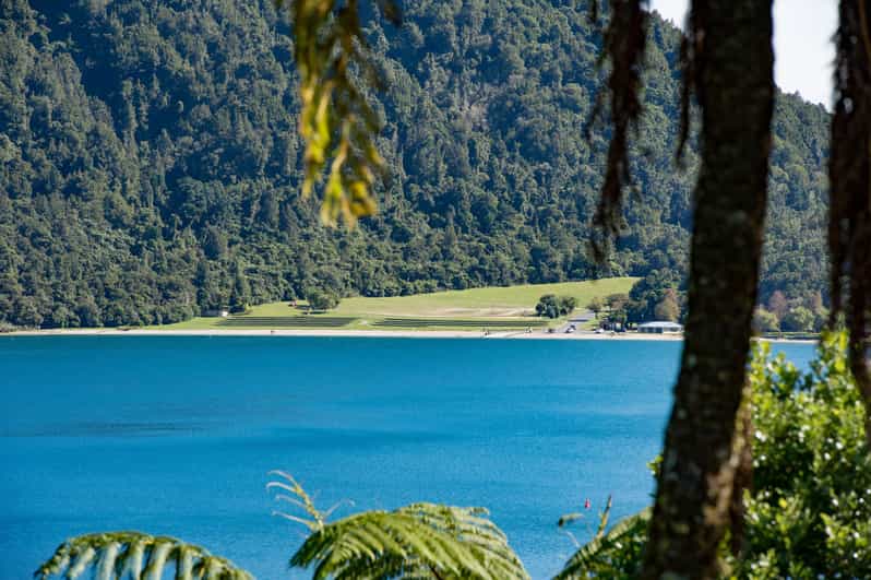 Rotorua: Explore The Lakes Half-Day Morning Tour | GetYourGuide