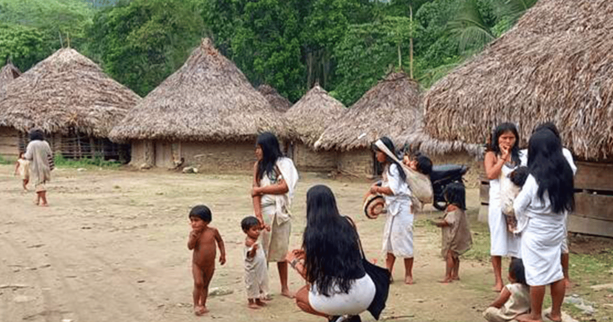 Palomino: Tour privado a la Aldea Indígena Tungueka | GetYourGuide