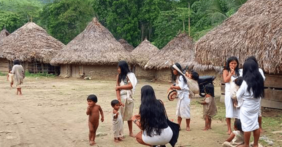 Palomino: Privat tur till Tungueka by för ursprungsbefolkningen | GetYourGuide