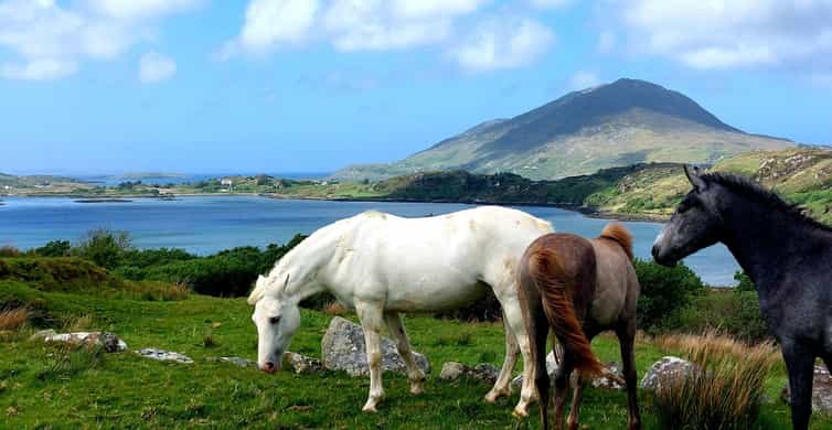 Connemara and the Wild Atlantic Way Fully Guided Day Tour | GetYourGuide
