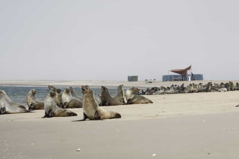 Mola Cruise with Beach Braai | GetYourGuide