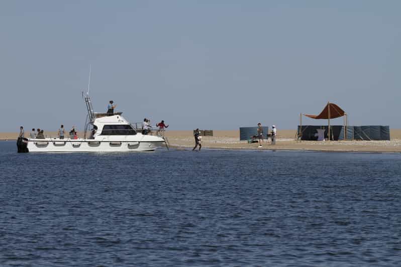 Mola Cruise with Beach Braai | GetYourGuide