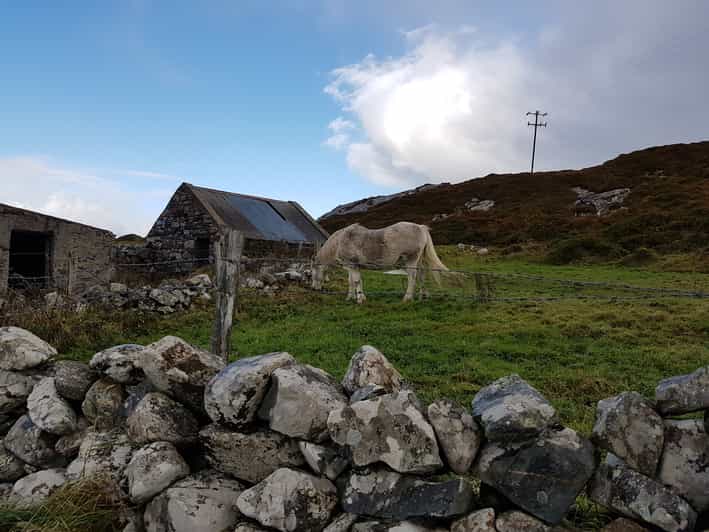 Desde Galway: Excursión de un día a Connemara y al Parque Nacional de ...