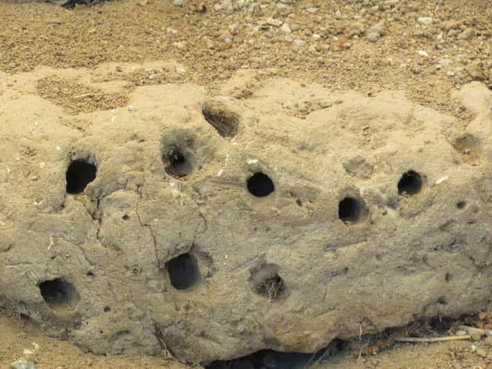 Canakkale: Full-Day Ancient Troy and Museum of Troy Tour | GetYourGuide