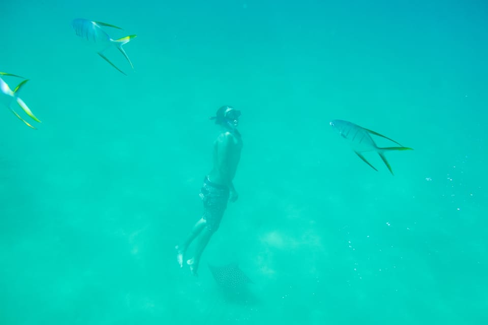 Los Cabos: Chilena & Santa María Bay Private Snorkeling Tour | GetYourGuide
