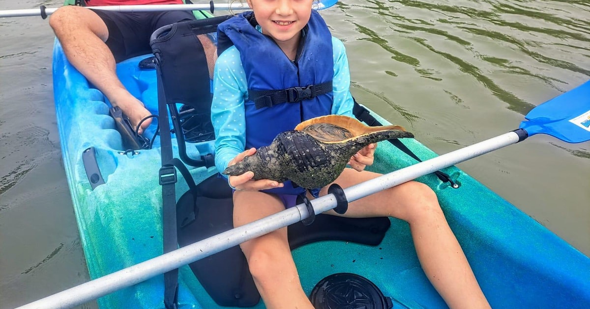 Marco Island: Kayak Mangrove Ecotour in Rookery Bay Reserve | GetYourGuide