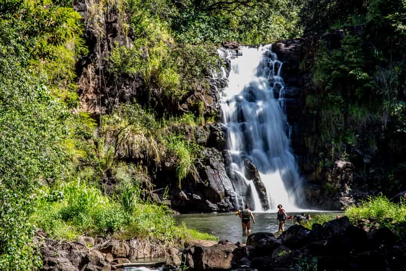 Oahu: North Shore Adventure with Waimea Waterfall Hike | GetYourGuide