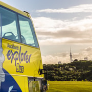 Auckland: Hop-On Hop-Off Explorer Bus Ticket | GetYourGuide