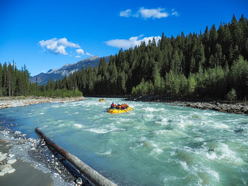 Golden, BC: Kicking Horse River Half Day Whitewater Rafting | GetYourGuide