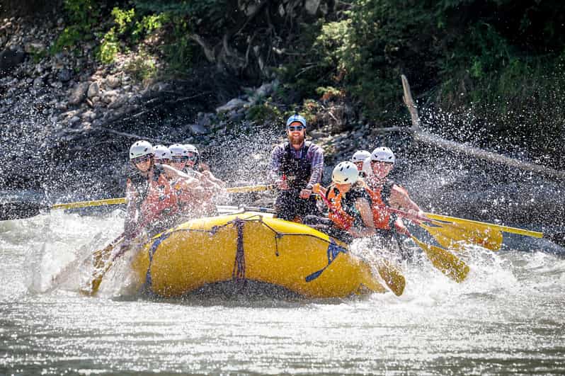 Golden, BC: Kicking Horse River Whitewater Raft-ervaring | GetYourGuide