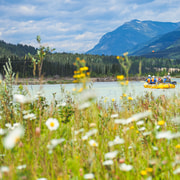 Golden, BC: Kicking Horse River Family Rafting with Lunch | GetYourGuide